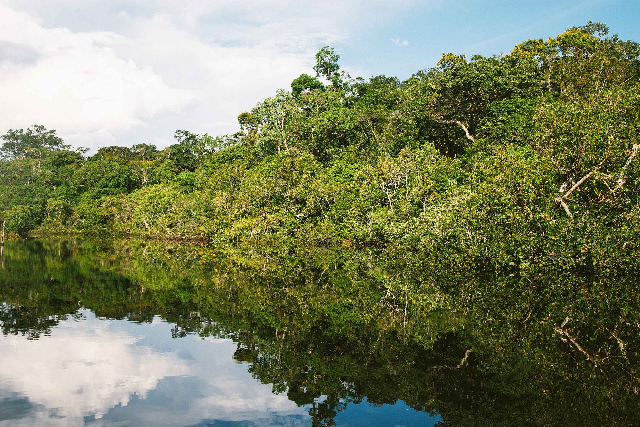 Ablasshandel oder effizientes Mittel zum Klimaschutz? - Avenir Suisse